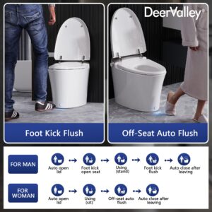 DeerValley Luxury Smart Toilet w/Bidet Built-In, Elongated Tankless Toilet with Automatic Flush, Heated Toilet Seat, Instant Bidet Warm Water and Dryer, Night Light and Remote Control