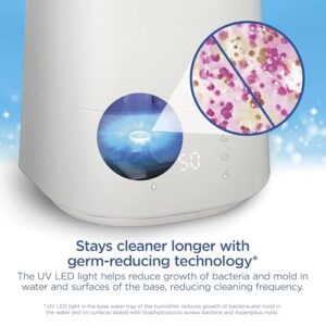 Clorox Ultra Clean Cool Mist Air Humidifier for BedRoom with UV LED Light to Reduce Germs and Bacteria, Whisper Quiet, 4L Water Tank for up to 40 Hours of Continuous Steam, White (11080)