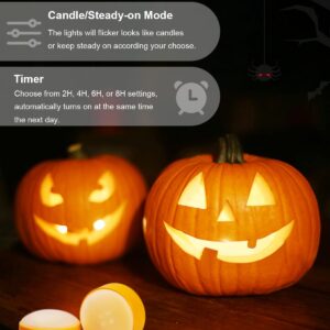 Luditek Pumpkin Carving Kit, 17 PCS Professional Stainless Steel Pumpkin Carving Tools with 3 Electronic Candles Lights and 10 Stencils, Jack-O-Lanterns Cutting Halloween Gifts for Adults