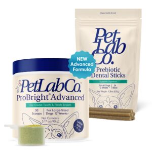 petlab co. - clean teeth bundle: dental powder for an effortless deep clean in 1 scoop for large dogs & dental chew for delicious dog dental care - easy to use - innovative formulas