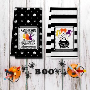 Hocus Pocus Decor, 2 Pack Halloween Kitchen Towels, Halloween Kitchen Bathroom Decorations, Hocus Pocus Merchandise Gifts, Funny Halloween Hand Towels Dish Cloths - I Smell Children