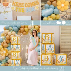 Here Comes the Son Baby Shower Decorations for Boy, Sun Theme Baby Shower Decoration, Boho Sun Baby Shower Party Supplies, It's A Boy Gender Reveal Décor, Retro Sun You Are My Sunshine Baby Shower