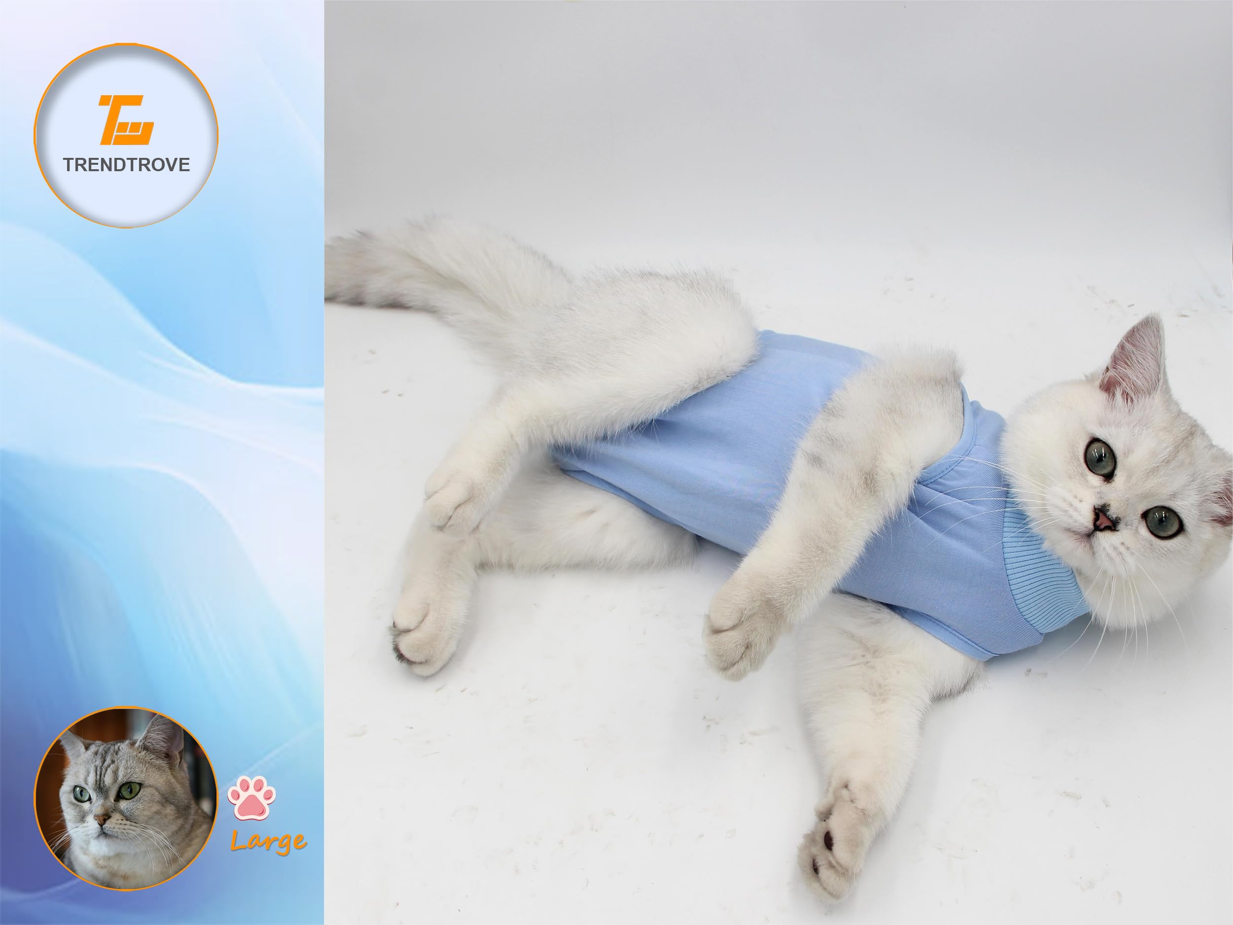 2PCS Cat Cone Collar and Cat Recovery Suit, Anti-Bite, Stop Licking Wounds, Adjustable Soft Elizabethan Cone, Cat Onesie for Female Cat After Surgery