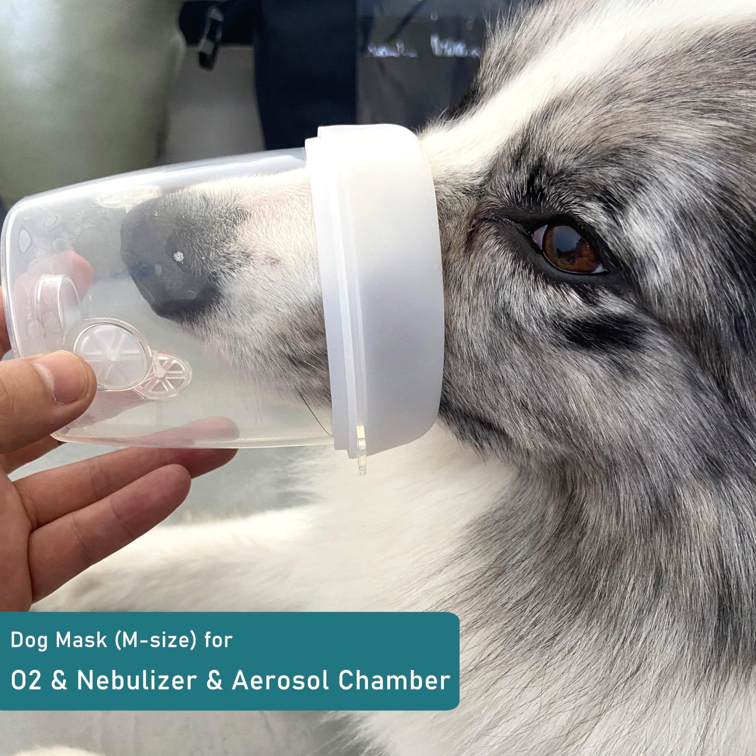 Canine Nebulizer Cup and Inhaler Mask for Cats and Dogs, Oxygen Mask for Pets (Not Including Nebulizer Machine) (M)