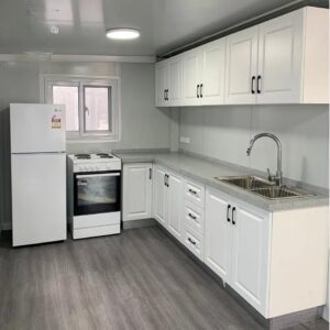 Generic Tiny/Mobile/Foldable 20/40ft Expandable Container Homes - Prefab Modern Villas w/2-3 Beds, Solar Customization. Get Exactly What You See. (30FT)