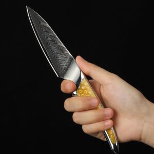 SANMUZUO 3.5 inch Paring Knife, Japanese VG-10 Damascus Steel Kitchen Knife, Ultra Sharp Fruit Knife with Full-tang Handle in Yellow Resin, LA-S9 Series