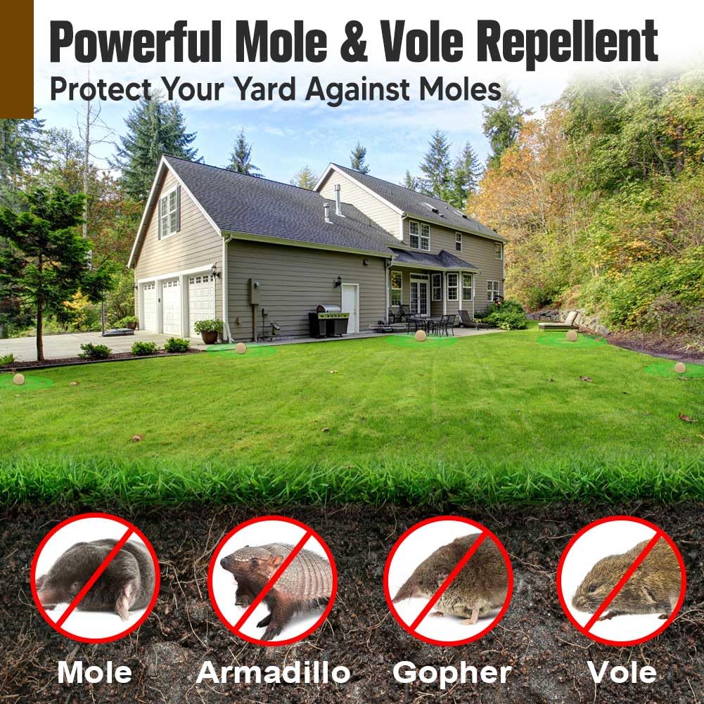 Dsdgkmk Mole Repellent for Lawns, Gopher Repellent, Mole & Vole Repellent, Mole Deterrent for Yard/Garden, Vole Repellent Outdoor,Mole and Gopher Repellent, Get Rid of Mole, Groundhog Repellent -8P