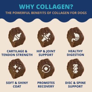 Under the Weather Collagen Chews for Dogs | Promotes Healthy Skin Coat and Stronger Hip & Joint | Improves Overall Mobility | Immunity and Anti-inflammatory Collagen for Dog Supplement | 60 Count