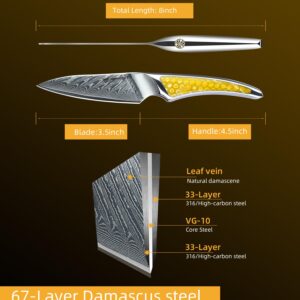 SANMUZUO 3.5 inch Paring Knife, Japanese VG-10 Damascus Steel Kitchen Knife, Ultra Sharp Fruit Knife with Full-tang Handle in Yellow Resin, LA-S9 Series