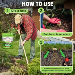 Mole Repellent for Lawns, Gopher Repellent, Mole & Vole Repellent, Mole Deterrent for Yard/Garden, Vole Repellent Outdoor,Mole and Gopher Repellent, Get Rid of Mole, Groundhog Repellent-12P