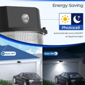 CINOTON 42W LED Barn Light Dusk to Dawn Outdoor Lighting, Black 2 Pack & 80W Outdoor LED Canopy Light 2 Pack