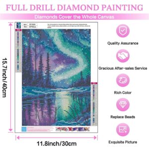 DIYCYCY Aurora Landscape Diamond Art Kits for Adults,DIY 5D Diamond Painting Kits for Beginners,Round Full Drill Diamond Dots Paintings Picture Gem Art Craft for Home Wall Art Decor Gifts 12x16inch