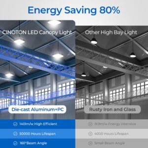 CINOTON 42W LED Barn Light Dusk to Dawn Outdoor Lighting, Black 2 Pack & 80W Outdoor LED Canopy Light 2 Pack