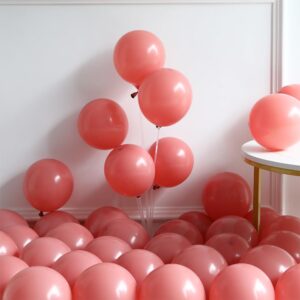 Strawberry Party Decorations,153pcs Strawberry Balloon Garland Arch Kit Light Pink Dusty Pink Red Balloons for Sweet Girl Berry First Birthday Decor Baby Shower Supplies