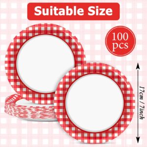 100pcs 7inch Chriatmas Red and White Plates Gingham Checkered Plaid Tableware Baby Shower Red Gingham Dessert Disposable paper Dinnerware for Picnic Barbecue Baby Shower Birthday Party Decorations