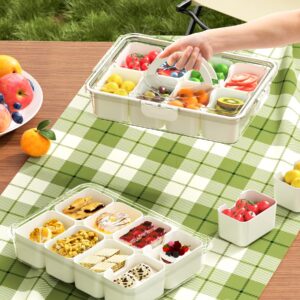 2 Pack Portable Snackle Box Container, Divided Serving Tray with Lid and Handle, Fruits, Clear Snack Platter Organizer and Storage for Adults Child (11.81" L*8.85"W-2pcs-8 Compartments)