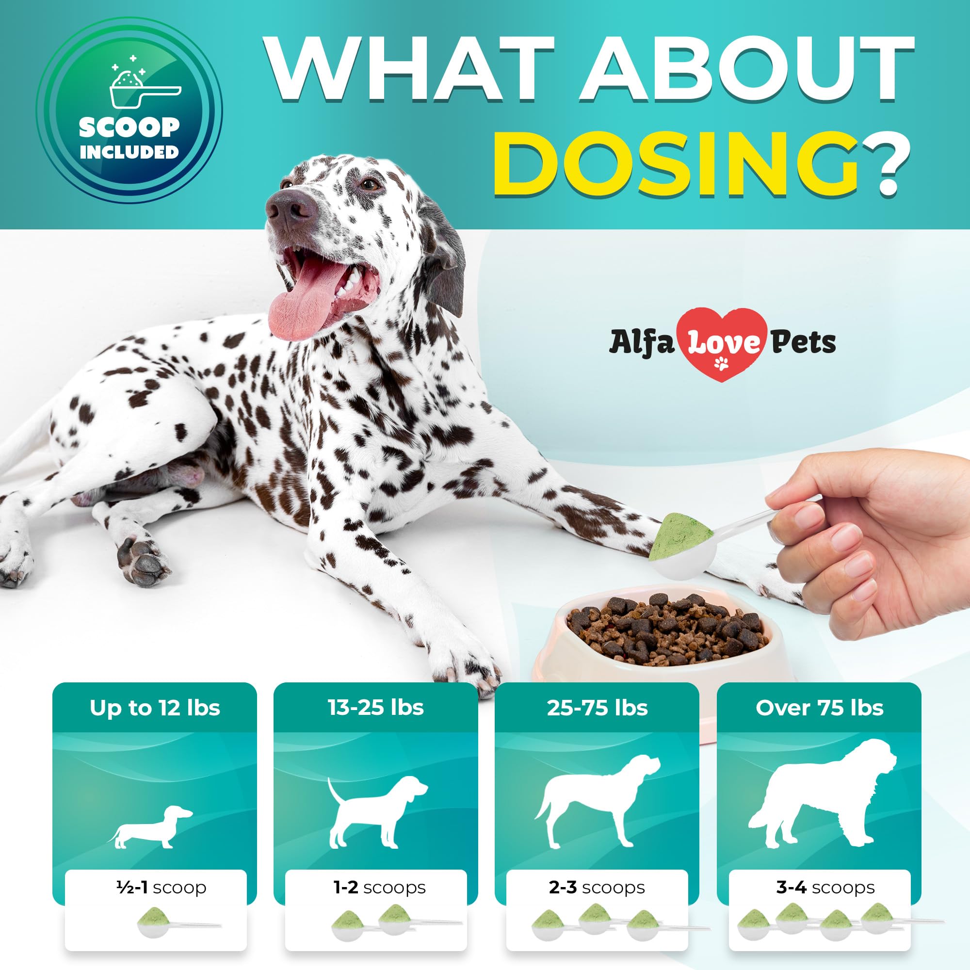 Dental Cleaning Powder ✿ Plaque Off Powder Dog ✿ Dog Teeth Cleaning Powder ✿ Plaque Remover for Teeth Dog ✿ Dog Dental Powder ✿ Dental Powder for Dogs Teeth ✿ Dog Tartar Remover for Teeth ✿ 100 G