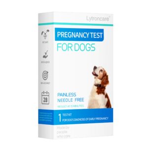 dog pregnancy test at home, 98% accuracy, painless to get sample no equipment required qucik result at 5 minutes easy no mess