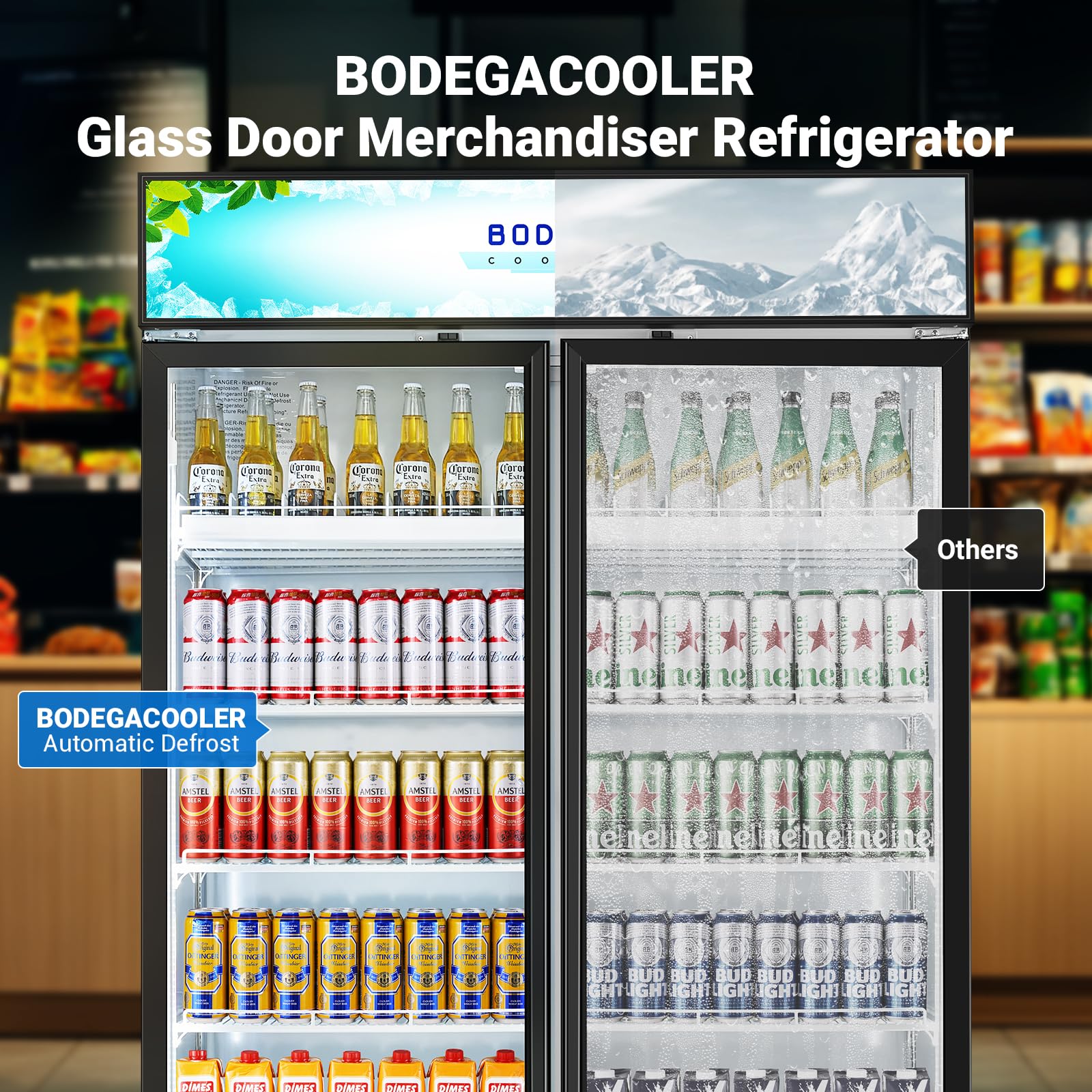 BODEGACOOLER Commercial Merchandiser Refrigerator, 36.3 Cu.Ft Upright Display Beverage Cooler, 2 Glass Door Display Refrigerator with Soft LED Light, Adjustable Shelves, 4 Strong Castors(Black)