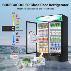 BODEGACOOLER Commercial Merchandiser Refrigerator, 36.3 Cu.Ft Upright Display Beverage Cooler, 2 Glass Door Display Refrigerator with Soft LED Light, Adjustable Shelves, 4 Strong Castors(Black)