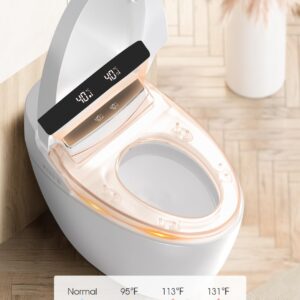 LDian Tankless Smart Toilet With Bidet Built In,Heated Toilet Seat One-piece Bidet Toilet Seat, Auto Flush, Auto Open & Auto Close, Warm Water and Dryer, Wireless Remote Control