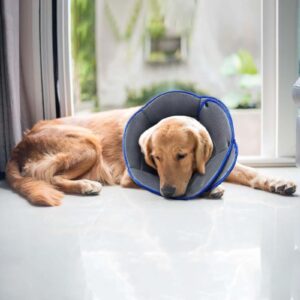 Dog Cone for Dogs After Surgery,Adjustable Protective Dog Recovery Collars & Cones for Large Medium Small Dogs Cats,Comfy Soft Dog Cones Prevent Pets from Touching Stitches Rashes,Wounds,Blue,L