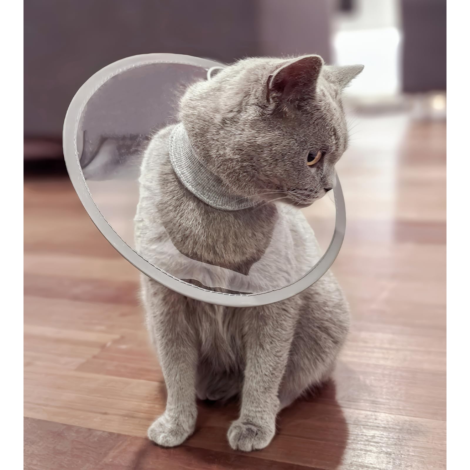 KUDES Cat Dogs Cone E Collar with Low Noise Fasteners Glow in The Dark, Transparent Cat Recovery Collar, Licking and Scratching Free Cone, Extra Soft Small Medium Dog Pet Surgery Collar