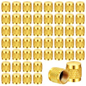 【upgraded】50 pcs 1/4" brass flare cap, solid brass caps with neoprene o ring seal, 1/4" sae hvac valve caps