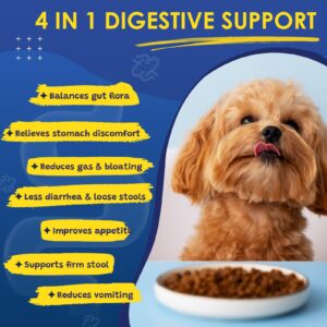 Probiotics for Dogs - Dog Probiotics for Digestive Health, Prebiotics, Enzymes, Fiber, and Omega-3 with Vitamins to Promote Intestinal Health, Support Immunity, Allergies & Itchy Skin, 120 Bites