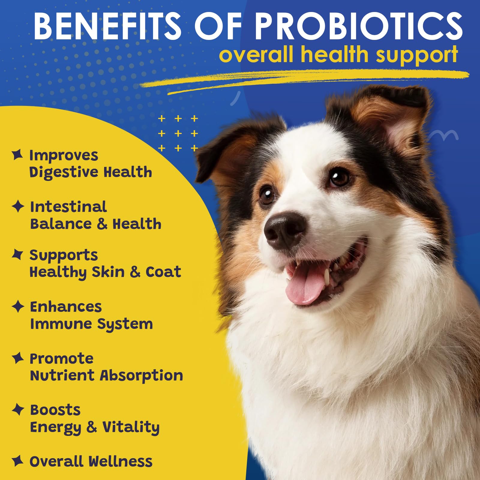 Probiotics for Dogs - Dog Probiotics for Digestive Health, Prebiotics, Enzymes, Fiber, and Omega-3 with Vitamins to Promote Intestinal Health, Support Immunity, Allergies & Itchy Skin, 120 Bites