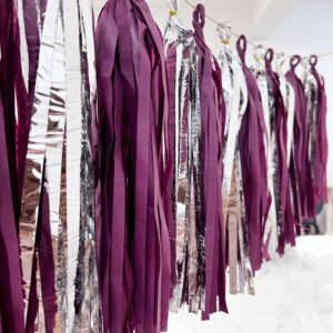 Daihellenstone 20 PCS DIY Tissue Tassel Garland Kit Kraft Burgundy Silver Party Streamers Bunting Banner Backdrop for Wedding Party Bridal Shower Centerpieces Table Decorations