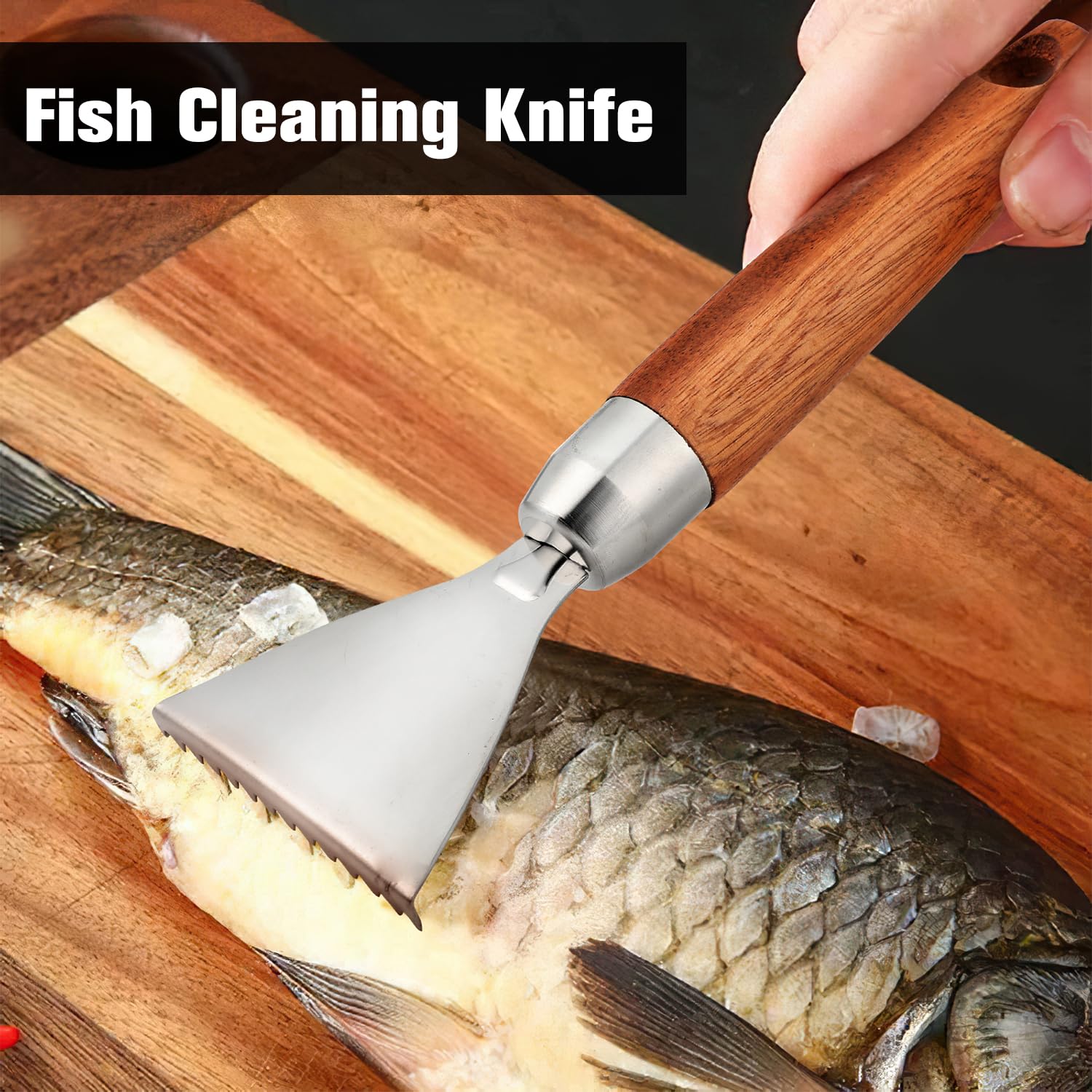 2Pcs Stainless Steel Sharp Durable Fish Scale Remover,304 stainless steel Fish Scale Remover,Portable Cordless Kitchen Fish Scaler Fish for Chef and Home Cooks Fish Cleaning tools（Black+Brown）