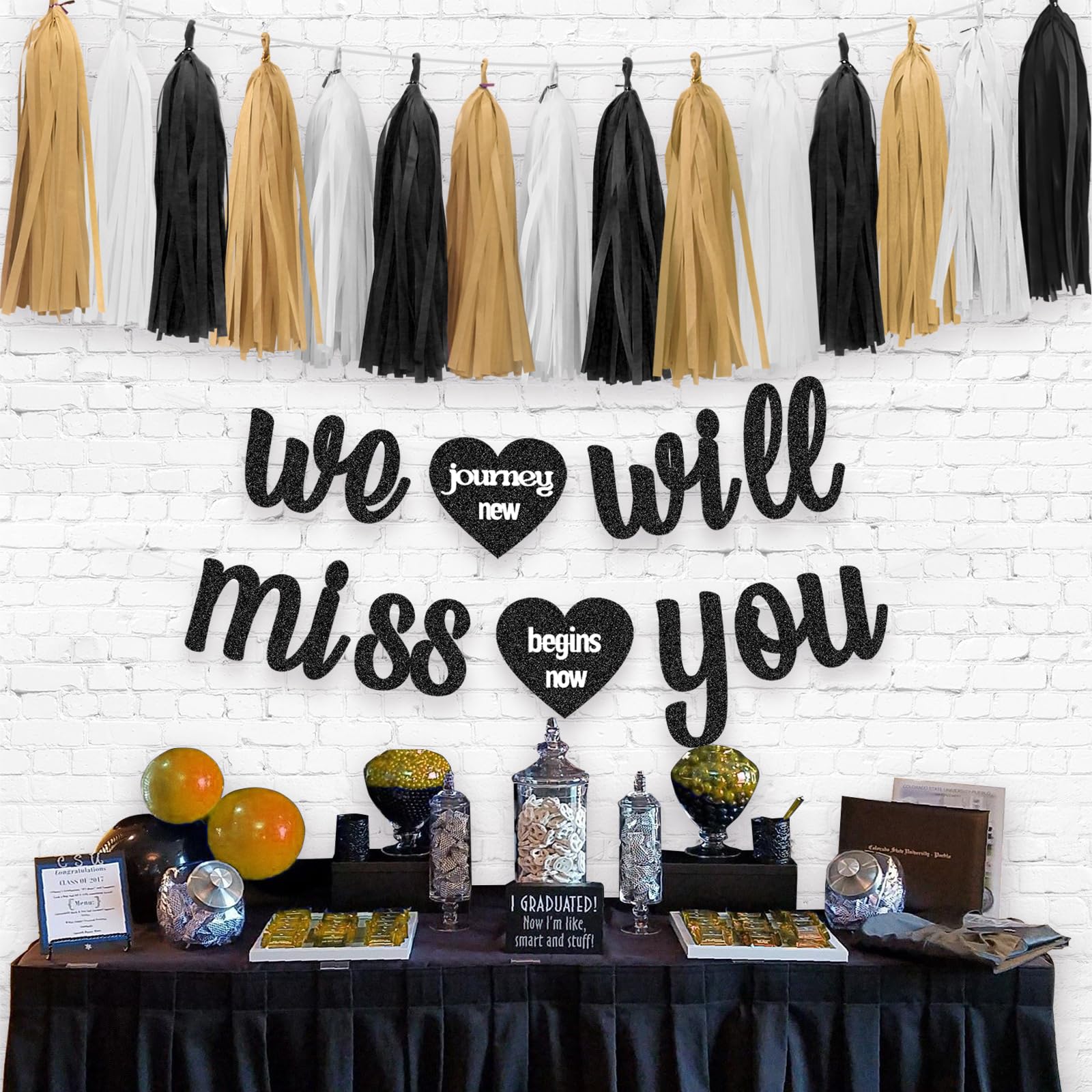 Aonor Going Away Party Decorations - Black We Will Miss You Banner and Tassel Garland for Goodbye Party Retirement Farewell Party Decorations