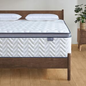 Lynnbery Twin Mattress, 10 Inch Twin Size Hybrid Mattress with Memory Foam and Individual Pocket Spring for Motion Isolation. Pressure Relief, Medium Firm Mattress in a Box, 39"*75"*10"