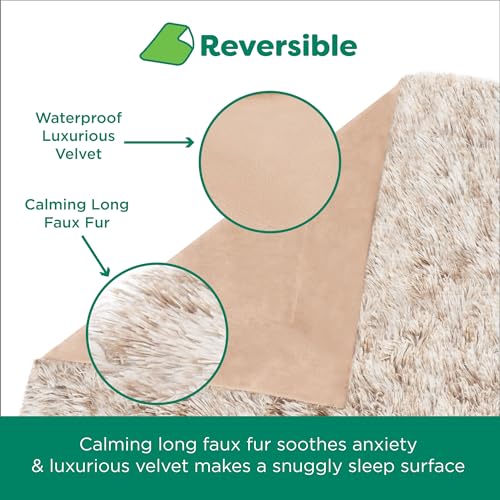 Furhaven Waterproof Throw Blanket for Dogs & Indoor Cats, Washable - Shaggy Plush Calming Long Faux Fur & Velvet Dog Blanket - Driftwood, Large