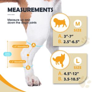 Adjustable Dog Leg Braces for Joint Support and Injury Recovery - Premium Material, Comfortable Fit, Durable Design - Ideal for Active Dogs, Large Breeds, and Elderly Pets (M-1 Pair)