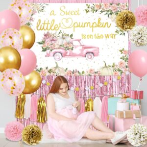 Little Pumpkin Baby Shower Decorations, Girl Pink Pumpkin Baby Shower Decorations, A Little Sweet Pumpkin is On The Way Backdrop, Pink Pumpkin Baby Shower Party Supplies