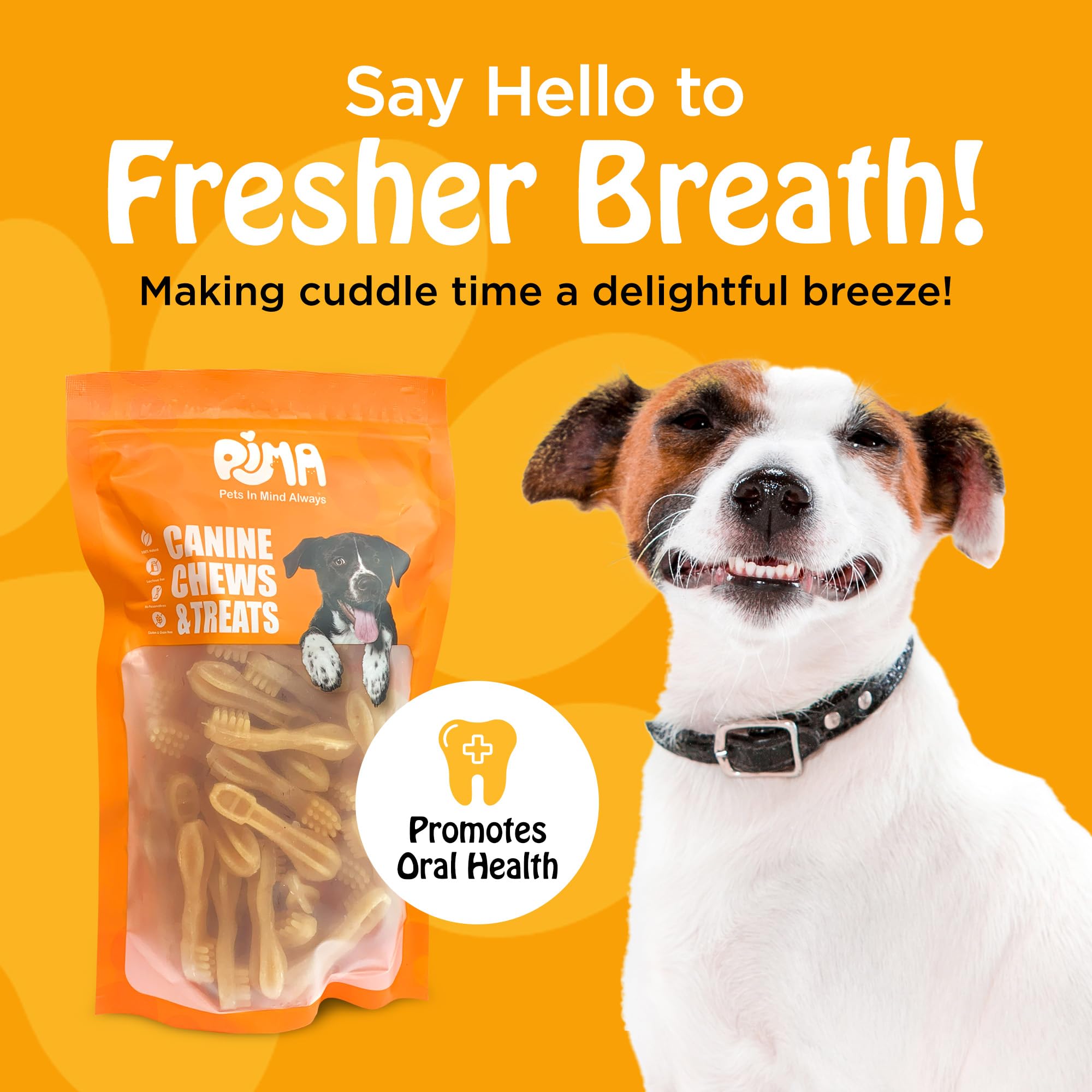 PIMA - Cheesy Dental Dog Brush Treat, Yak Cheese Dental Chews for Dogs, Natural Dog Teeth Cleaning Treat for Fresh Breath, Lactose, Corn, Grain, Soy & Rawhide - Free (4 oz, Dental Brush)