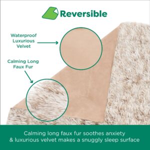 Furhaven Waterproof Throw Blanket for Dogs & Indoor Cats, Washable - Shaggy Plush Calming Long Faux Fur & Velvet Dog Blanket - Driftwood, Medium