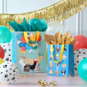 Papyrus 9" Medium Gift Bag (Birthday Dogs) for Birthdays and All Occasions (1 Bag)