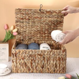 Hipiwe Wicker Storage Bins with Lid, X-Large Handwoven Water Hyacinth Wicker Baskets Rectangular Decorative Shelf Baskets Bin Built-in Handles Household Basket Boxes for Shelf Home Organizing