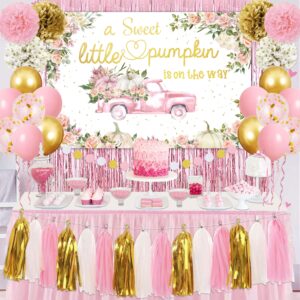 little pumpkin baby shower decorations, girl pink pumpkin baby shower decorations, a little sweet pumpkin is on the way backdrop, pink pumpkin baby shower party supplies