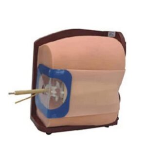 MAHWER Spine Puncture Training Model Spinal and Epidural Anesthesia Clinical Training Model