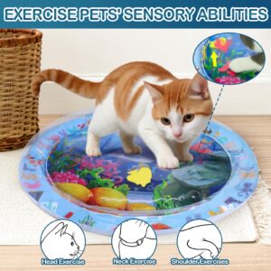 Water Sensory Playmat for Cats, Thickened Upgraded Cat Dog Toys Bored Pet Animals Cat Kicker Toys Self Play Mat, Interactive Toys Pet Water Sensory Mat Pad Pet Cooling Mat Indoor Outdoor Exercise