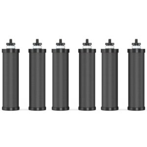 jabrissi water filter replacement for berkey® bb9-2® black purification elements, activated carbon filters compatible with berkey gravity water filtration system, pack of 6