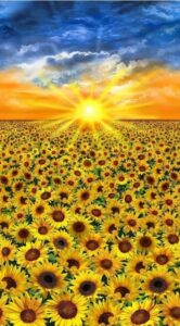 timeless treasures sunflower sunset 24x44 inch cotton fabric panel, yellow, cd2535