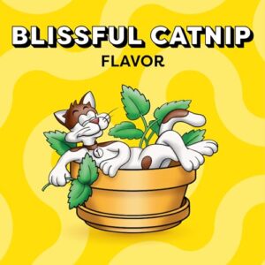 Temptations Classic Crunchy and Soft Cat Treats Blissful Catnip Flavor, 16 Ounce (Pack of 2)