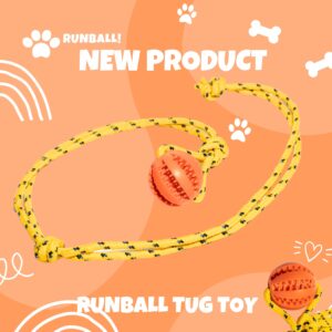 Runball Dog Rope Toy with Ball for Tug of War, Training, Fetch, Interactive Pull Toy, Teeth Cleaning Ball for Medium and Large Dogs, 10 Foot Rope and 2.75 Inch Ball