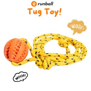 Runball Dog Rope Toy with Ball for Tug of War, Training, Fetch, Interactive Pull Toy, Teeth Cleaning Ball for Medium and Large Dogs, 10 Foot Rope and 2.75 Inch Ball