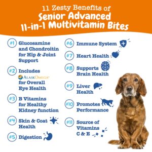 Zesty Paws Multivitamin Treats for Dogs - Glucosamine Chondroitin for Joint Support + Digestive Enzymes & Probiotics - Grain Free Dog Vitamin for Skin & Coat + Immune Health Chicken - Advanced - 60ct